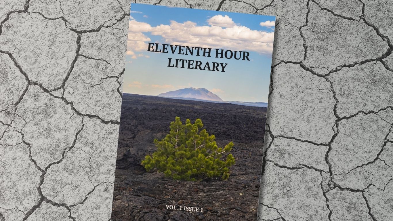 ELEVENTH HOUR LITERARY – The Journal of Perseverance